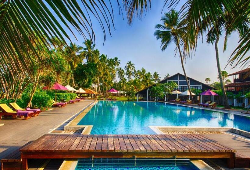 Hôtel Thaala Bentota - Bentota