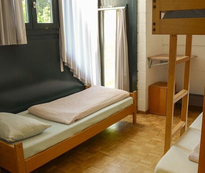 Hôtel Luzern Youth Hostel - Lucerne