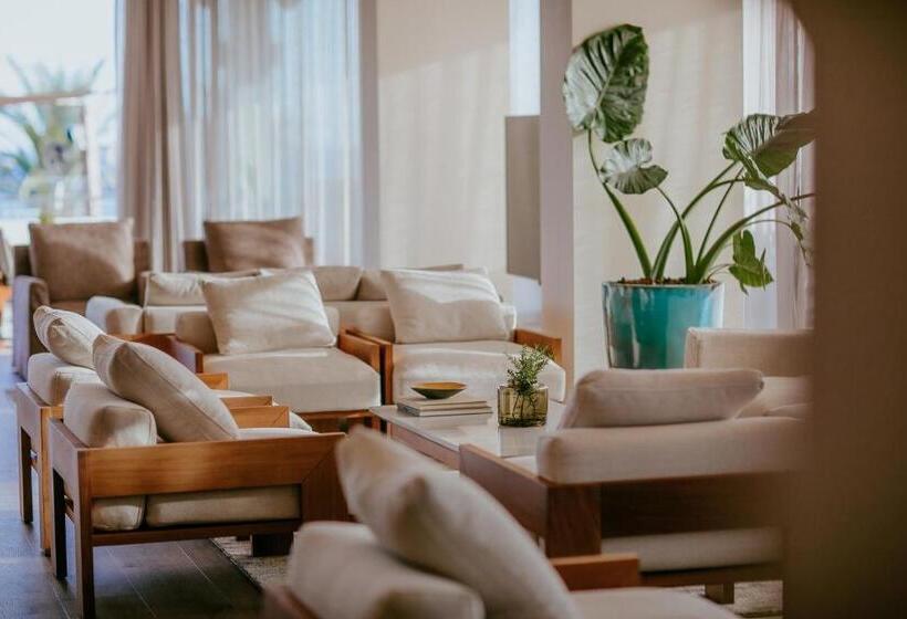 Hôtel Alion Beach - Ayia Napa