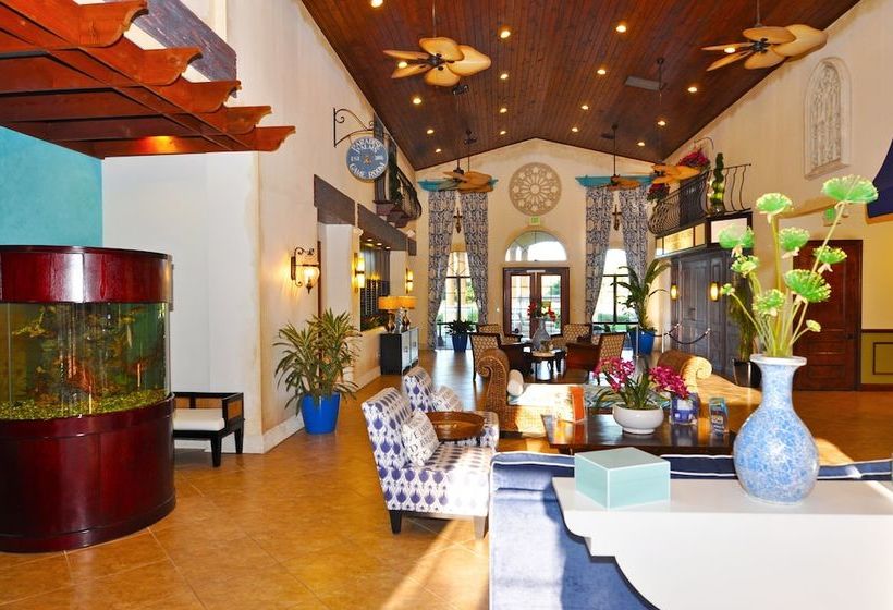 Paradise Palms 8891 Candy By Fairytale Vr, Four Corners: лучшие ...