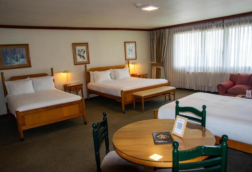 Hôtel Abba Presidente Suites Puerto Montt - Puerto Montt