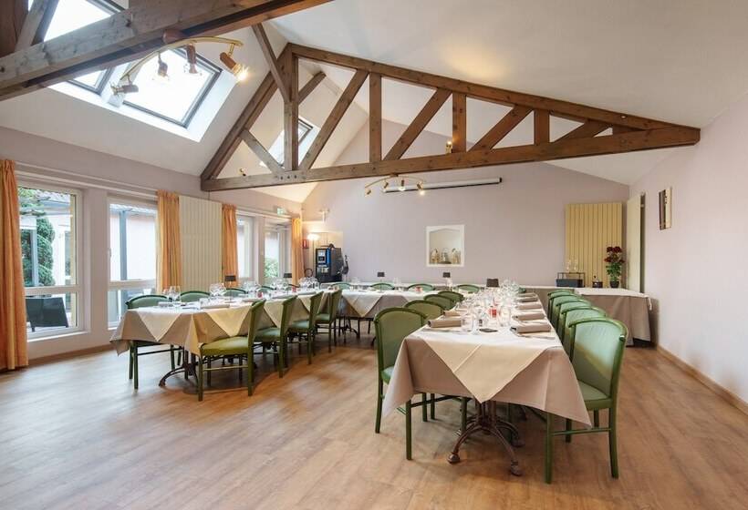 Hotel Logis Hôtel Restaurant Ritter Hoft - Haguenau
