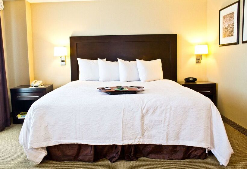 Hôtel Hampton Inn & Suites Boston Crosstown Center - Boston, MA