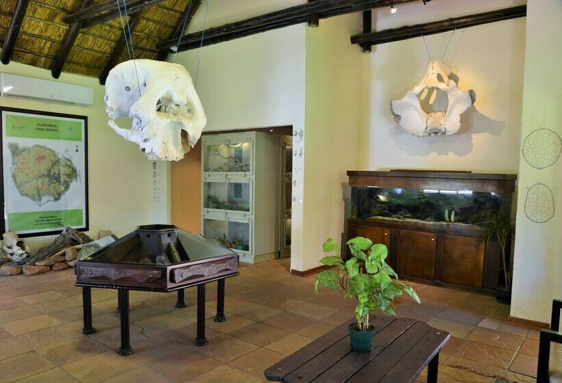 Hotel Kwa Maritane Bush Lodge - Sun City