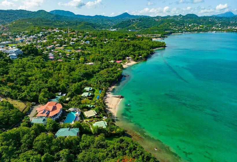 Hôtel Calabash Cove Resort And Spa   Adults Only - Saint Lucia