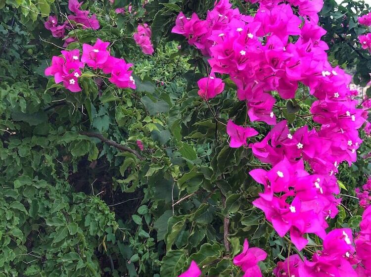 Ipek Butik Otel - Çıralı