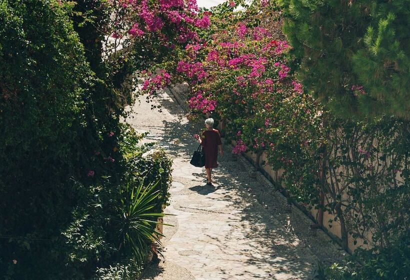 Bougainville Bay - Sarandë