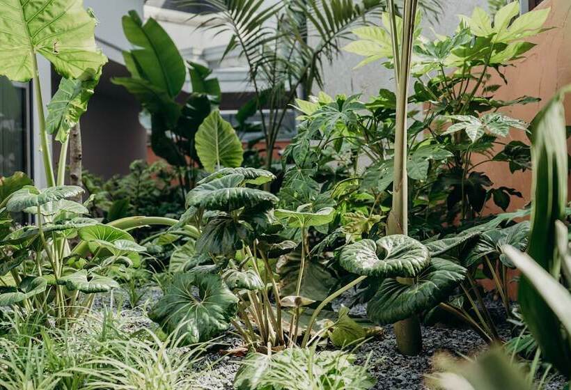 Hôtel The Editory Garden Porto - Porto