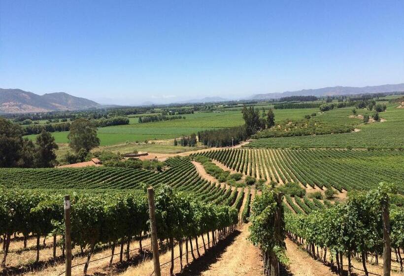 Hotel Noi Blend Colchagua - O'Higgins