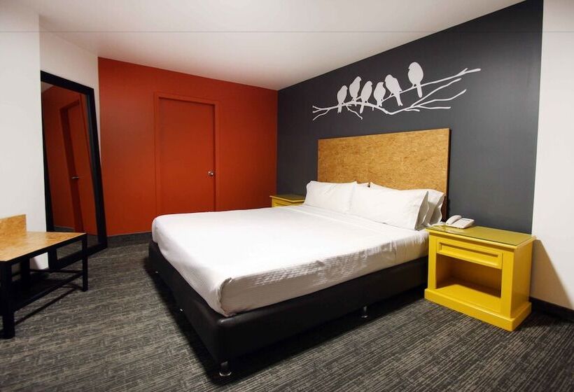 Hotel B My - Tijuana