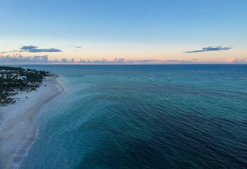 Hotel Falcon S Resort By Melia, All Suites  Punta Cana - Punta Cana