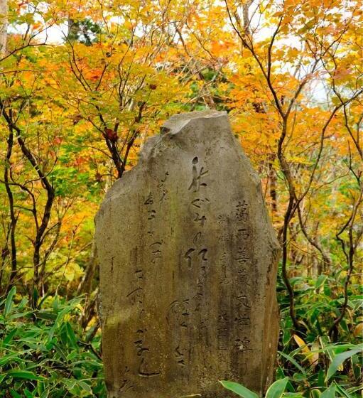 Hôtel Yumoto Itaya - Nikko