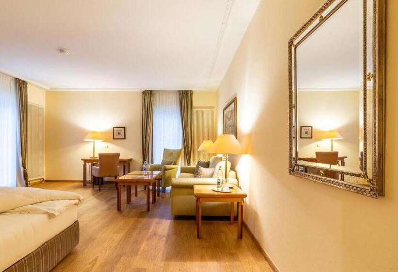 Hôtel Villa Hammerschmiede - Karlsruhe