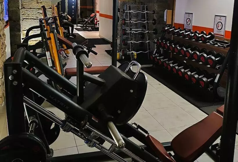 Hôtel Hôtel Le Roosevelt Lyon - Villeurbanne