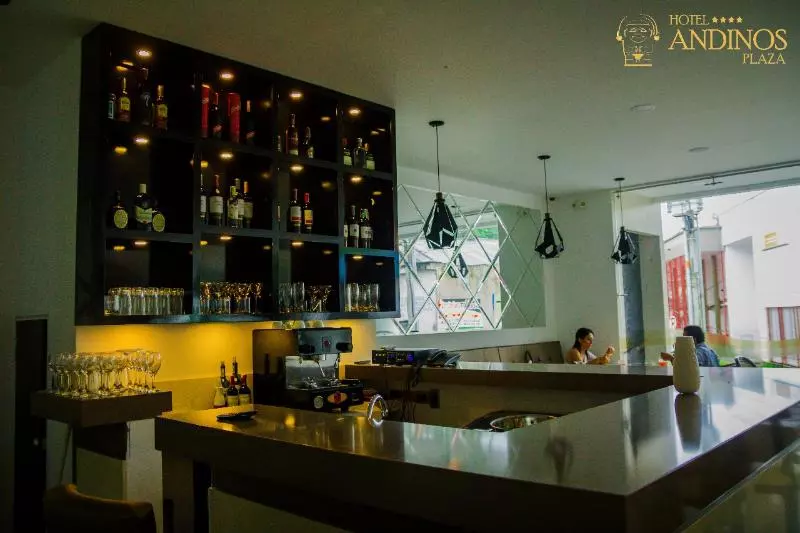 Hotel Andinos Plaza Florencia - Florencia