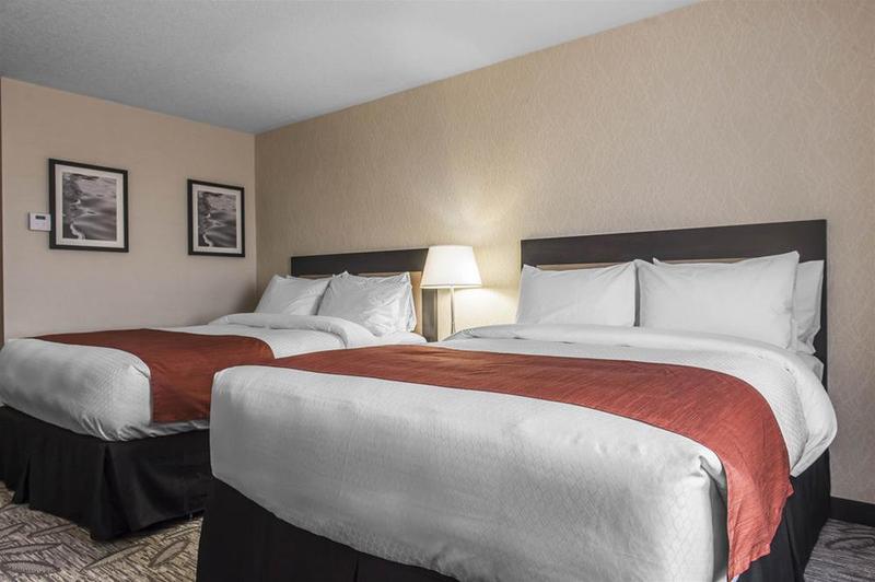 Hôtel Quality Inn & Suites Kingston - Kingston
