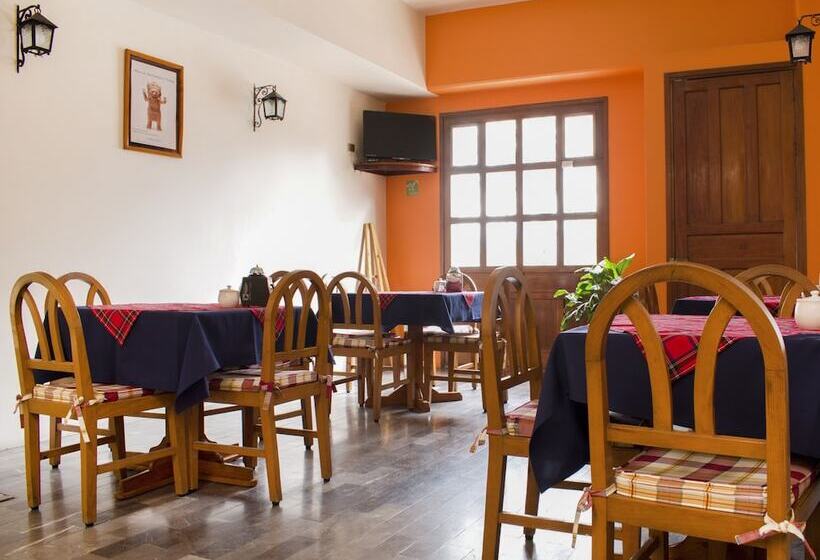 Hotel Museo - Xalapa