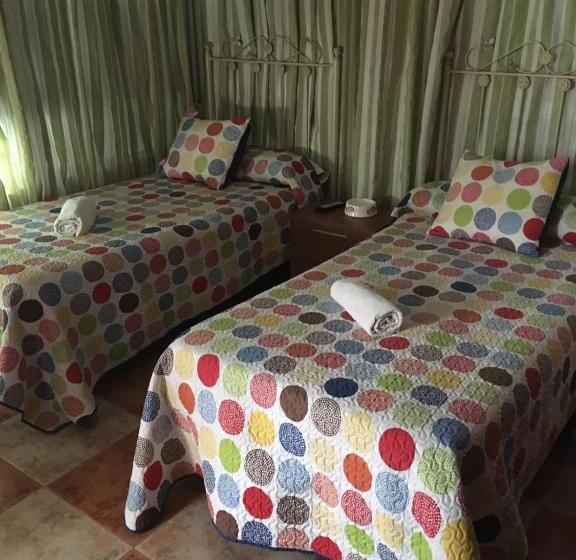 Pension (Hôtel Basse Catégorie) Hostal San Miguel By Croma - Estepona