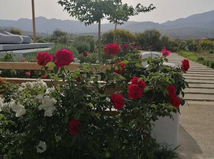 Pension (Hôtel Basse Catégorie) Xerolithos Natural Living - Naxos, Greece