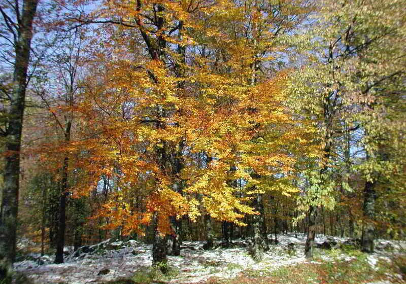 Hotel Apartments Kristic - Kroatien