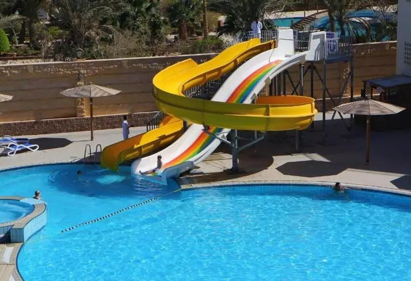 Hôtel Palm Beach Resort - Hurghada