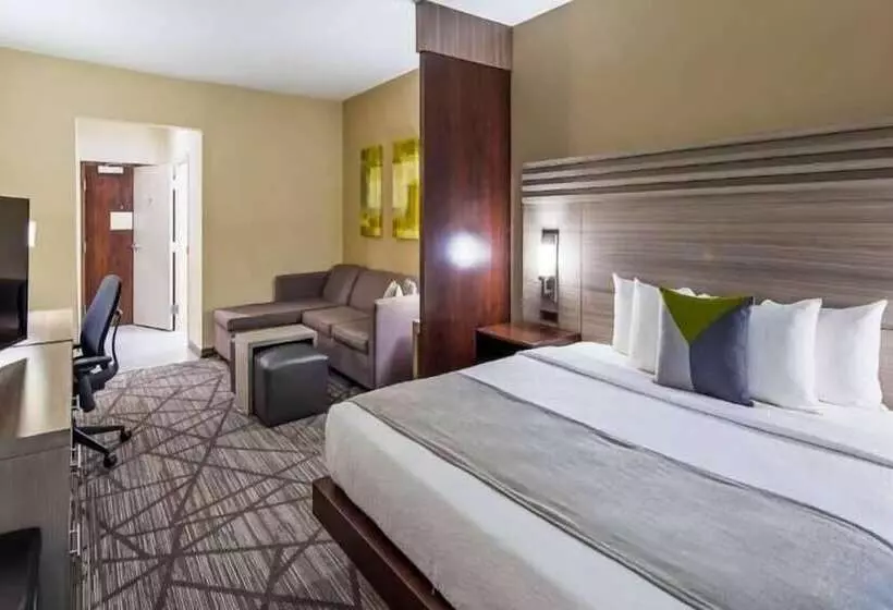 Hotel Comfort Inn & Suites Houston I 45 North   Iah - Houston, TX