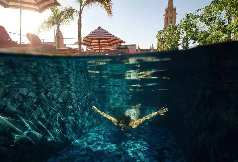 Hotel Cappuccino  Palma - Palma