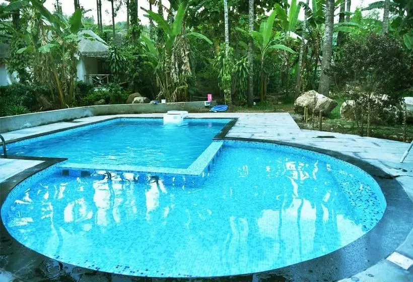 Wow Bison Woods Organic Veg Resort - Yercaud - Yercaud