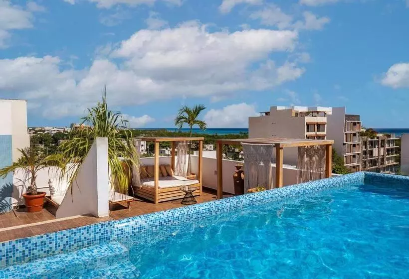 Terrasse Hotel Playa Del Carmen - Playa del Carmen
