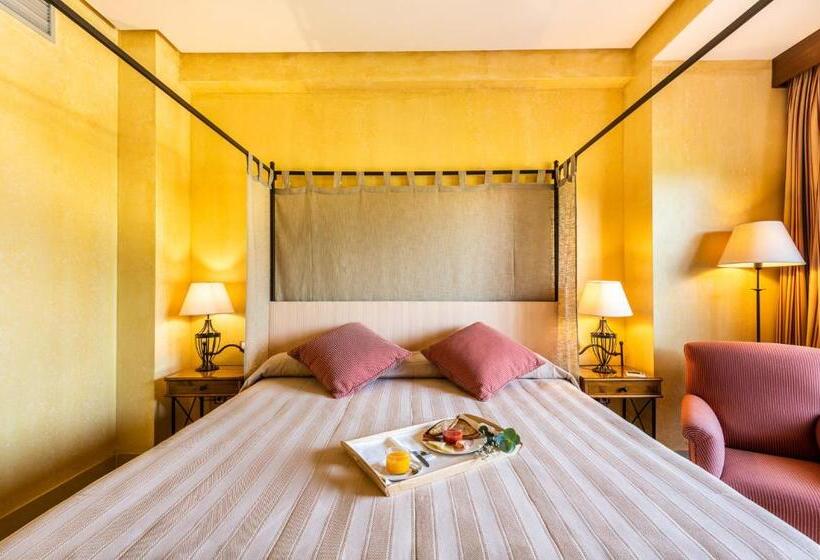 Hôtel Intelier Airén - Alcázar de San Juan