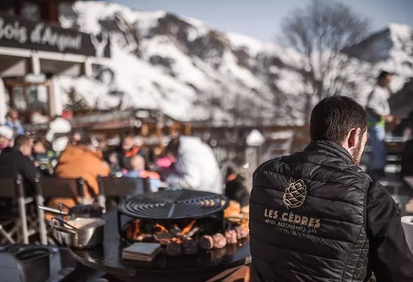 Hôtel Les Cèdres  Hôtel  Restaurant  Spa - Saint-Sorlin-d'Arves