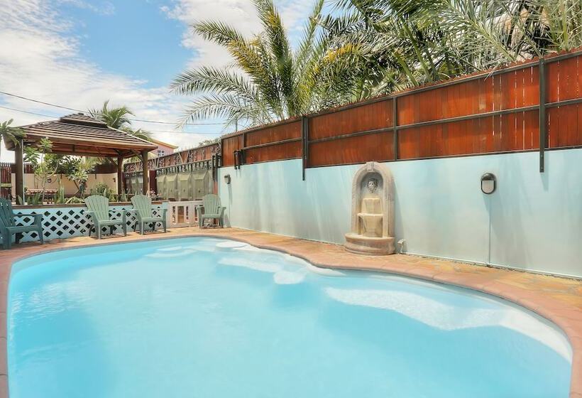 L'oiseau De L'océan - Mauritius