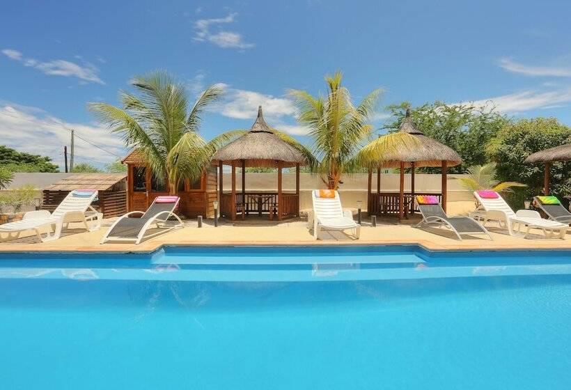 L'oiseau De L'océan - Maurice