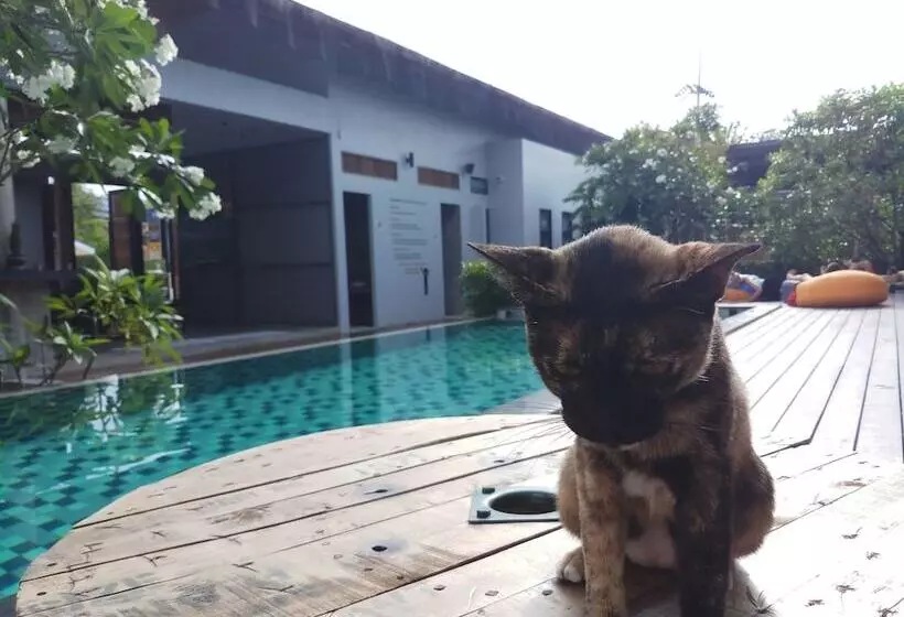 Us Hostel Samui - Koh Samui