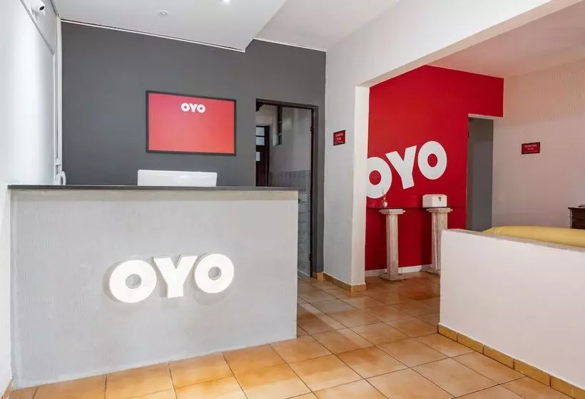 Pension (Hôtel Basse Catégorie) Pousada Da Tia Leo - Campinas