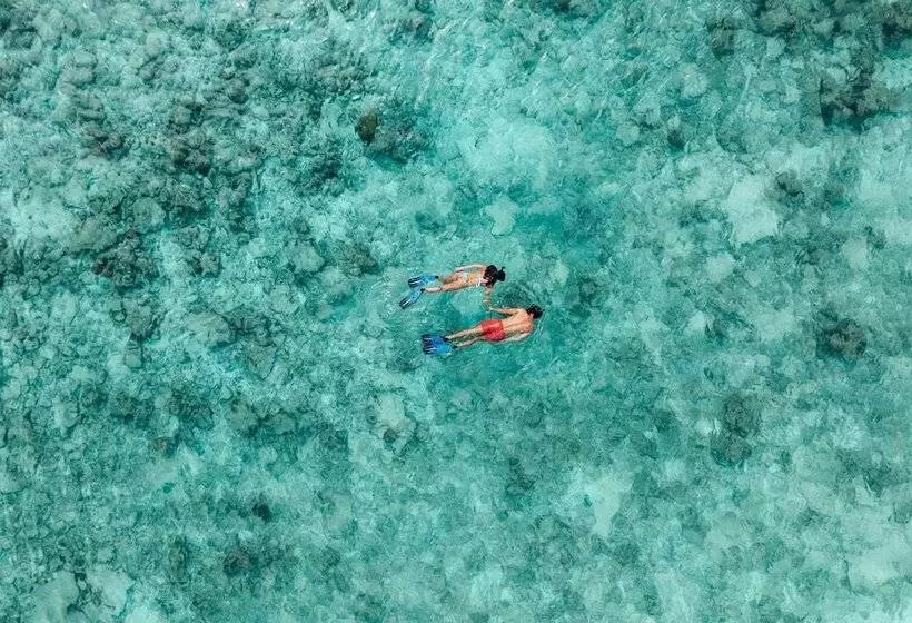Hôtel Intercontinental Maldives Maamunagau Resort With Club Benefits  Ihg - Maldives