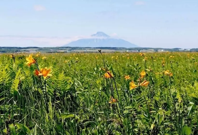Hôtel The Stay Wakkanai - 稚内市