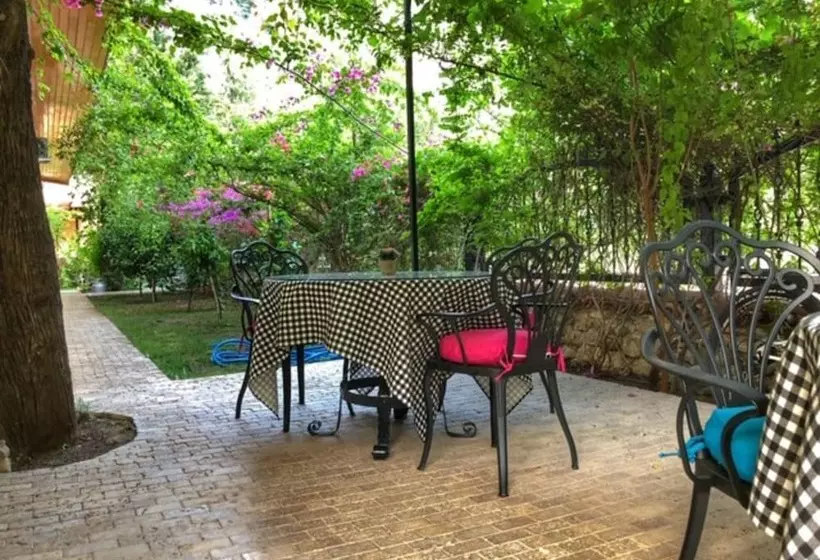 Ipek Butik Otel - Çıralı