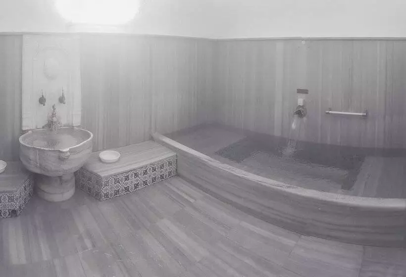 Hôtel Boyuguzel Termal - Çekirge