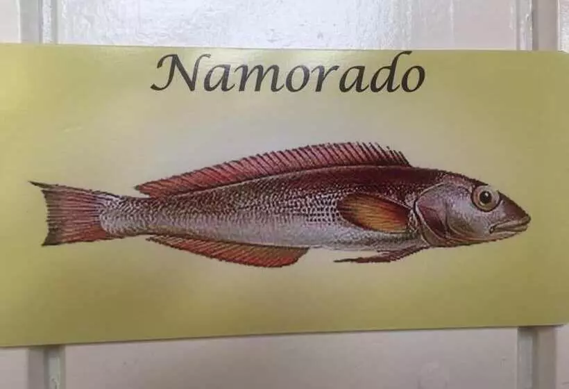 Pension (Hôtel Basse Catégorie) Aquarius Osteria - Arraial do Cabo