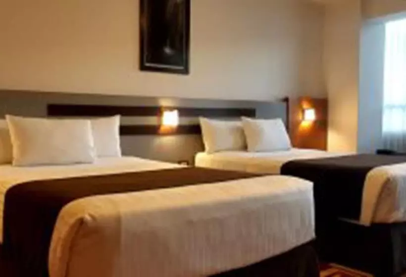 Hotel Polo Cusco Suites - Cusco