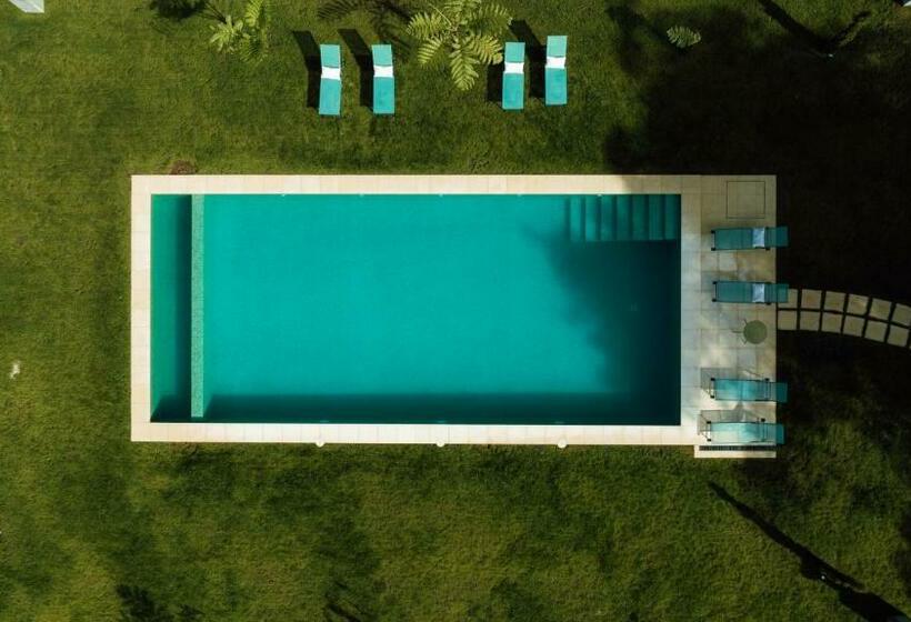 Hôtel Villa Camélia Boutique House - Caniço