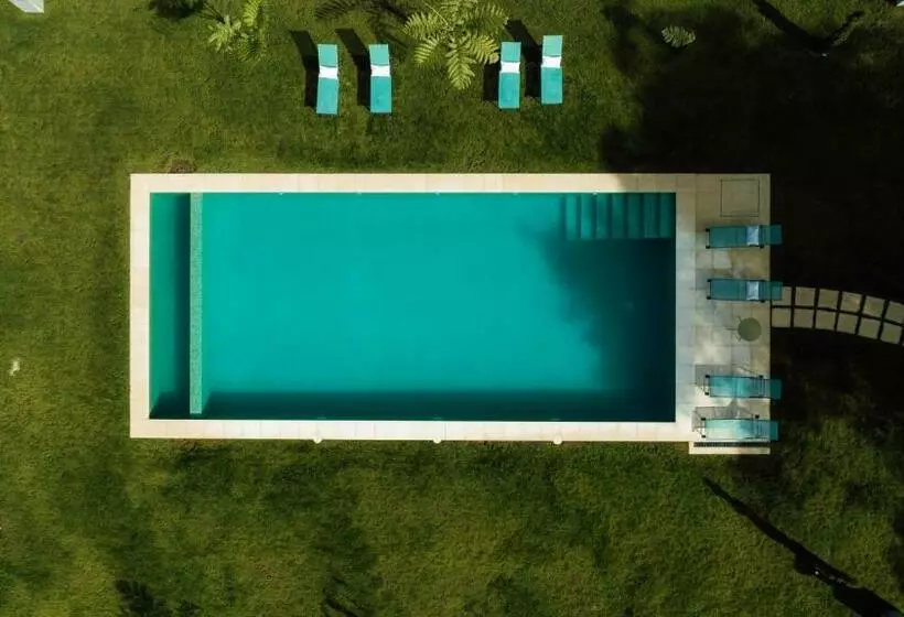 Hôtel Villa Camélia Boutique House - Caniço