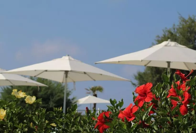 Hôtel Bv Kalafiorita Resort - Zambrone