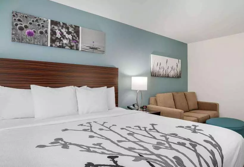 Hôtel Sleep Inn & Suites Near Westchase - Texas