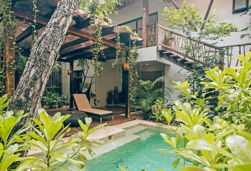 Hôtel Orchid House Tulum Jungle - Tulum