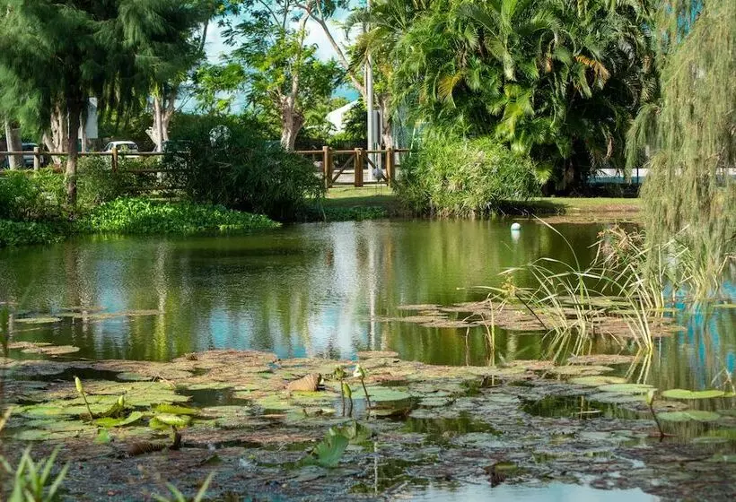 Hôtel Le Relais Du Moulin Hôtel De Charme & Spa Adult Only - Guadeloupe