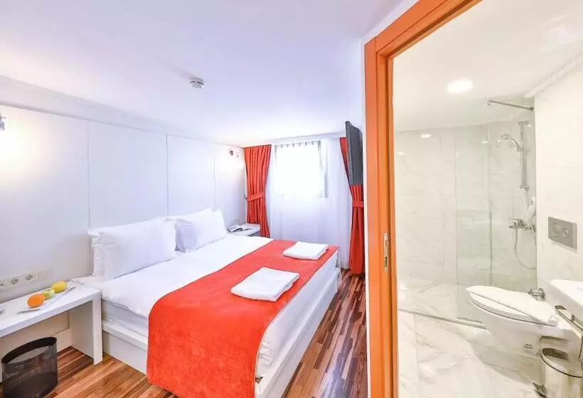 Senatus Hotel   Special Class - Istanbul