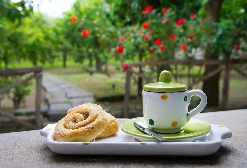 Bed And Breakfast Relais Correale Rooms & Garden - Sorrento