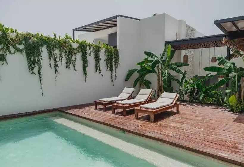 Hotel Ah Xok Suites - Playa del Carmen
